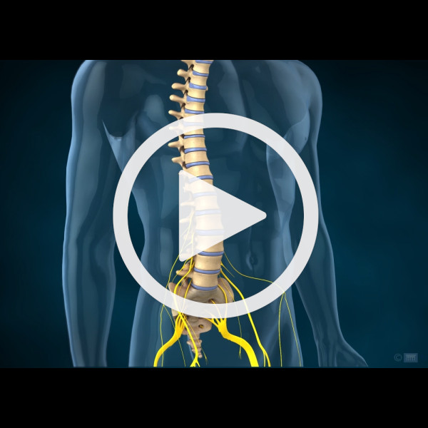Medical Legal Exhibits - Legal Animations & Trial Graphics - Tria...