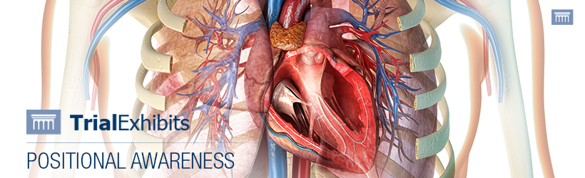 Positional Awareness - TrialQuest Inc.