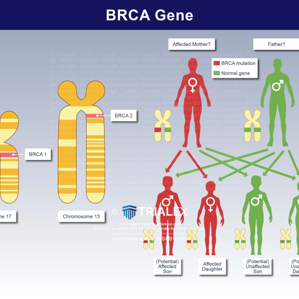 BRCA Gene TrialQuest Inc 