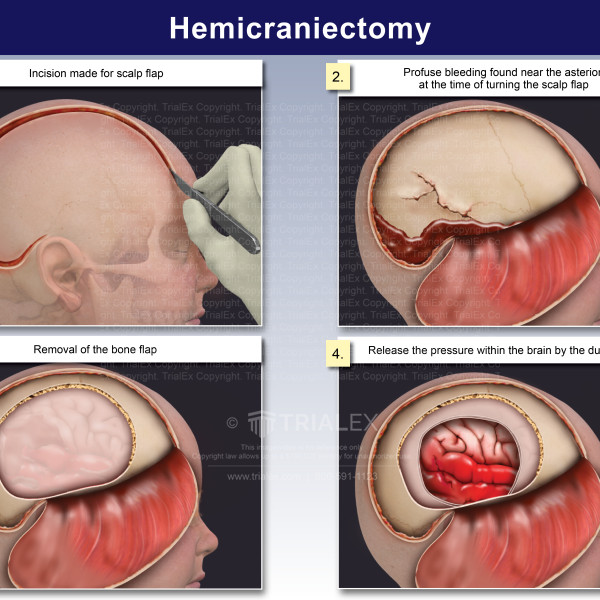 General Graphic And Medical Gallery Image Collection Trial Exhi 
