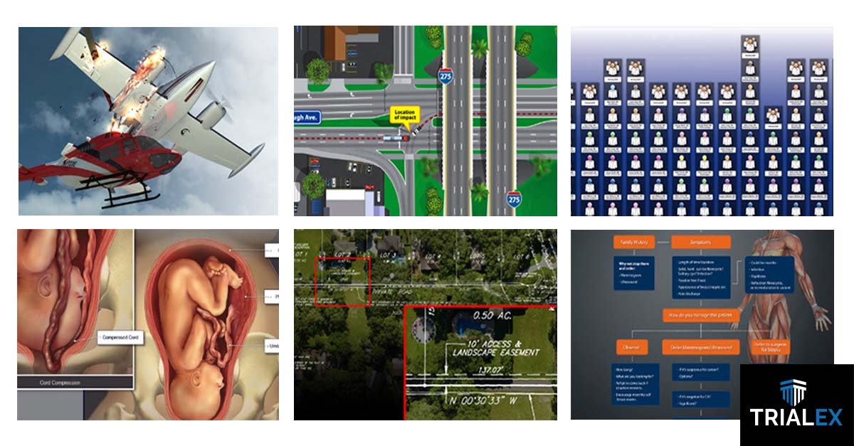 Medical Legal Exhibits - Legal Animations & Trial Graphics